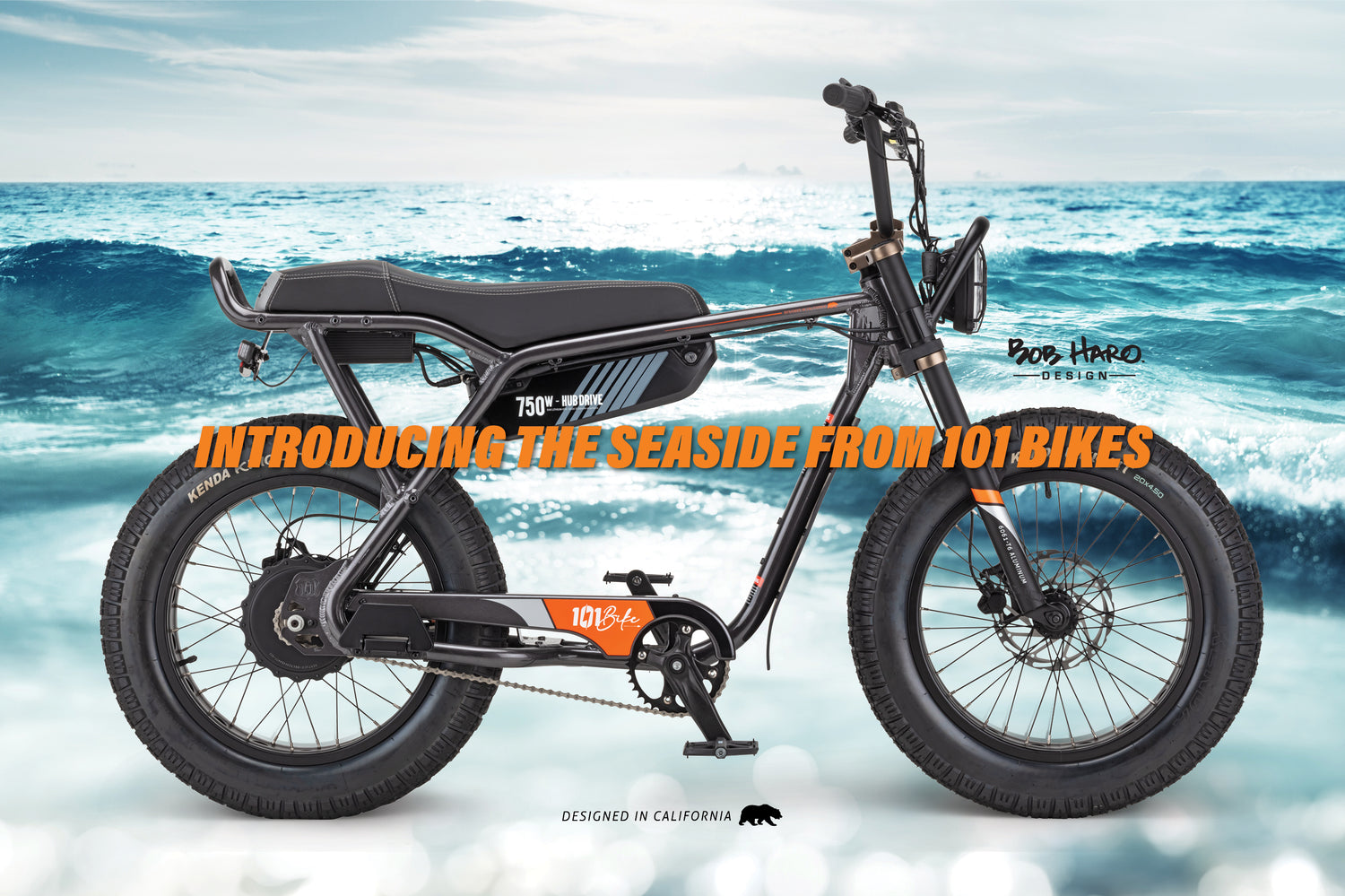 101 Bikes—High quality ebikes driven by Southern California Style ...